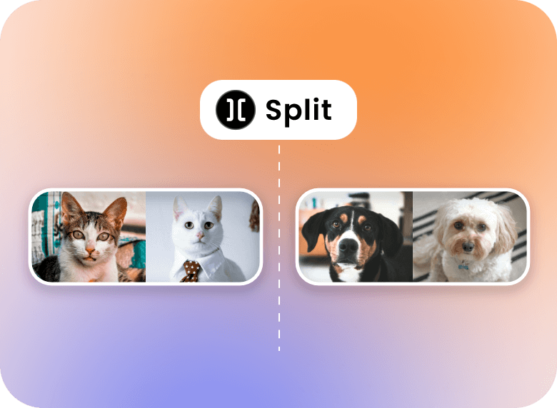 Free Video Splitter Online: Split Video into Parts Easily | Clipfly