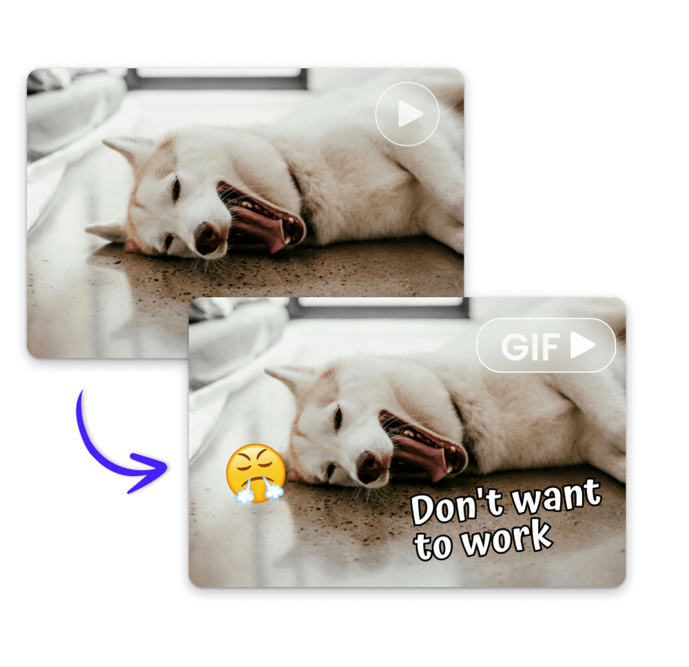 Online Free GIF Meme Maker No Watermark – Make Your Own Meme | Clipfly