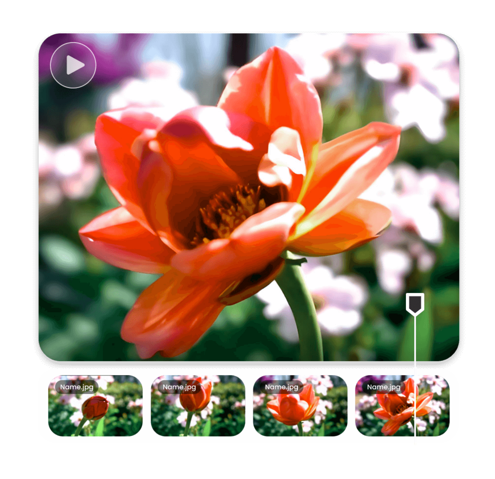 Online Free Time Lapse Video Maker | Clipfly