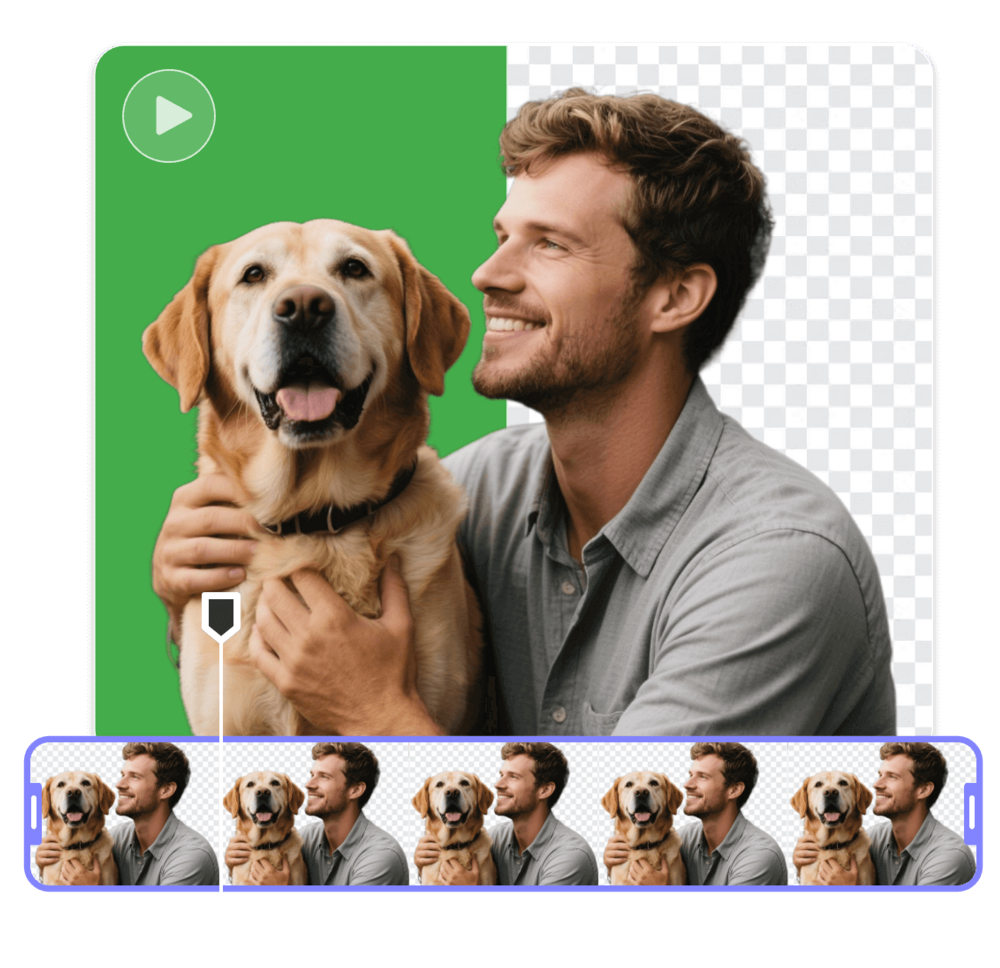 AI Green Screen Remover Online for Free | Clipfly