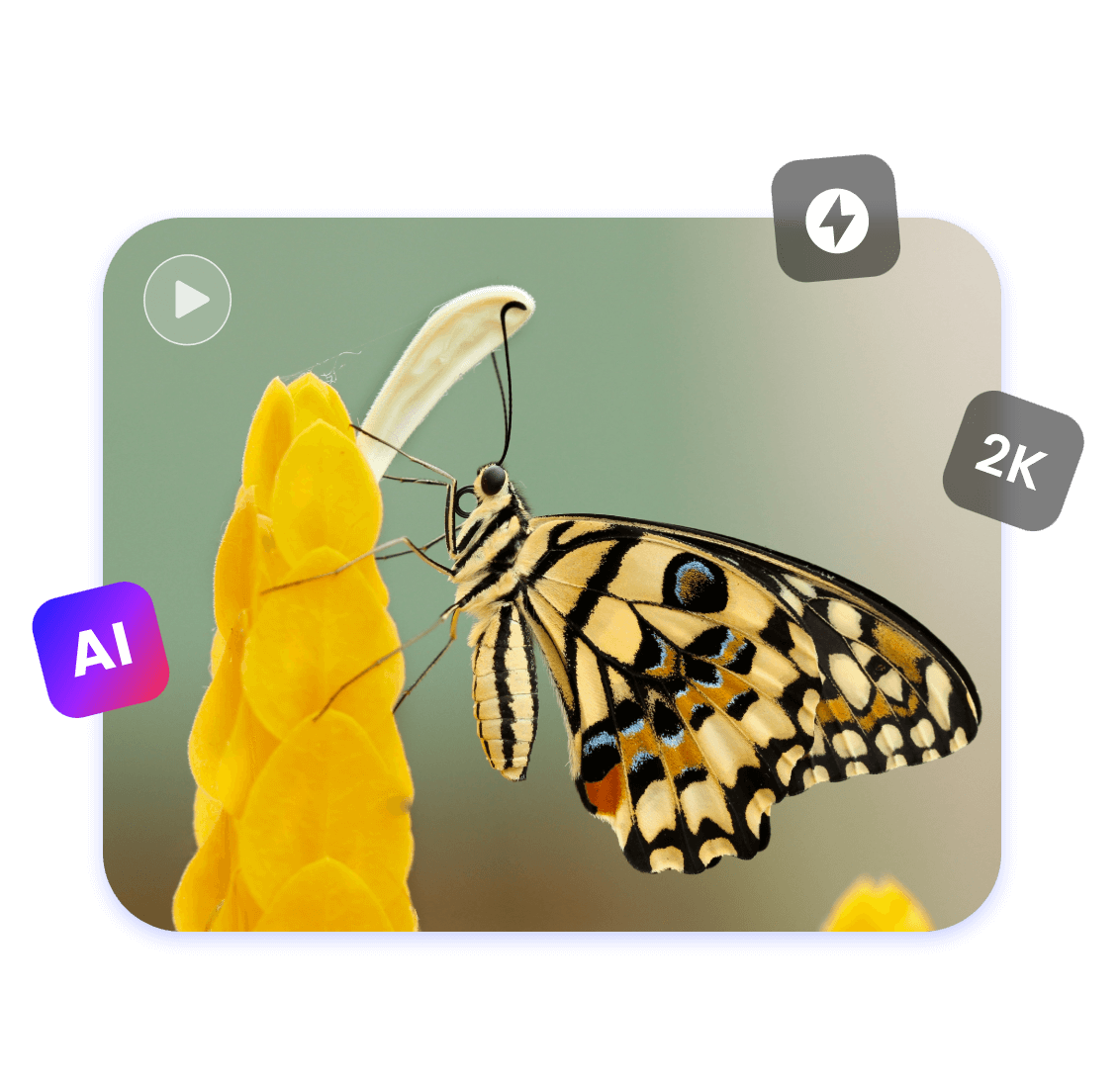 AI Video Generator Online: Text & Image to Video | Clipfly
