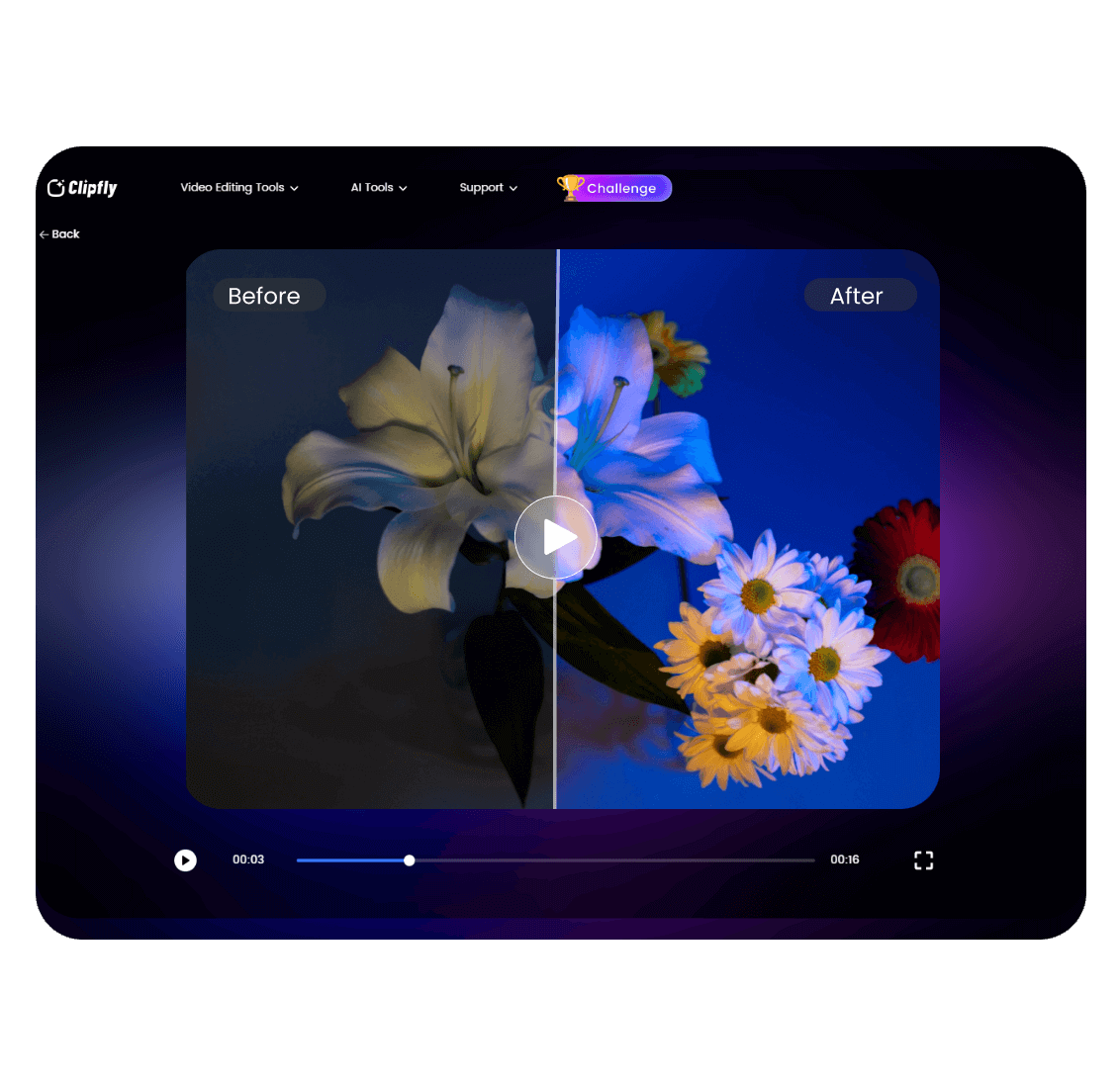 AI Video Enhancer Online: Improve Video Quality