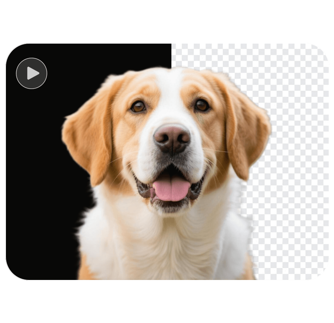 Remove Black Background from Image Online for Free | Clipfly