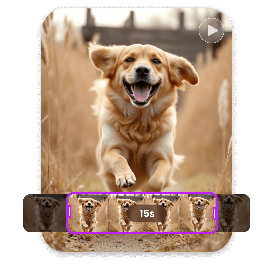 Highlight Video Maker: Create Highlight Video Online for Free | Clipfly