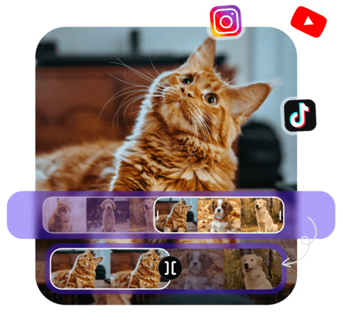 Free Video Trimmer Online: Trim, Crop & Cut Videos | Clipfly