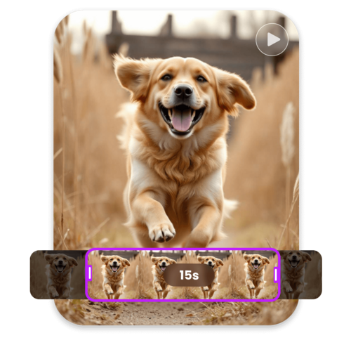 Highlight Video Maker: Create Highlight Video Online for Free | Clipfly