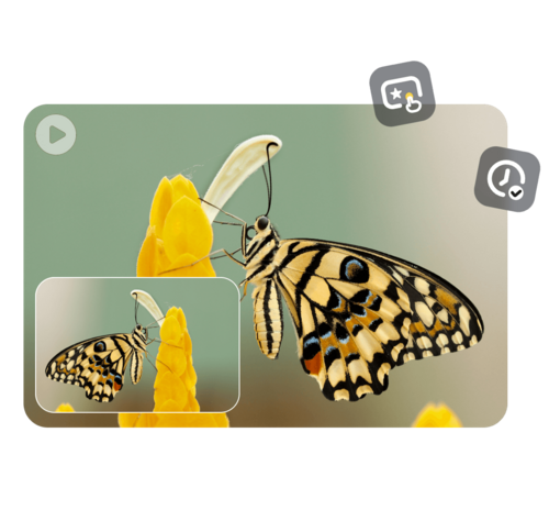Free Online Mirror Video | Clipfly