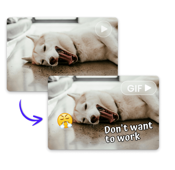 Online Free GIF Meme Maker No Watermark – Make Your Own Meme | Clipfly