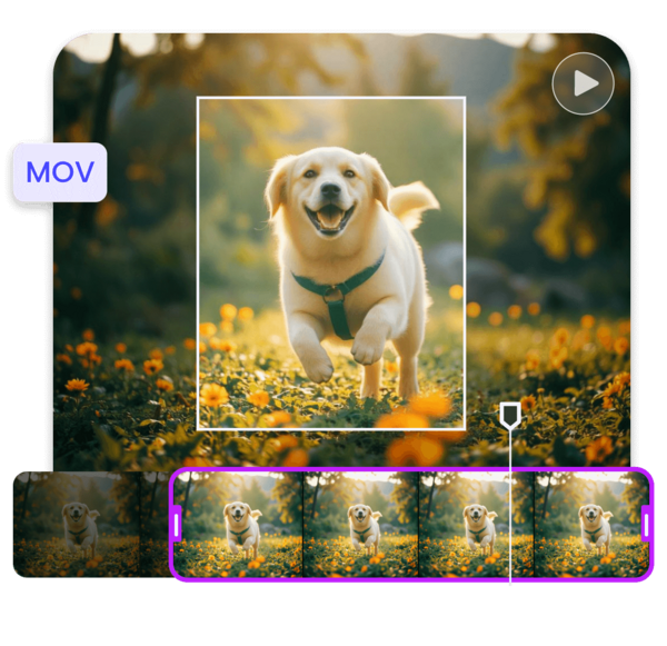 Free Online MOV Editor - Edit MOV Files Without Watermarks