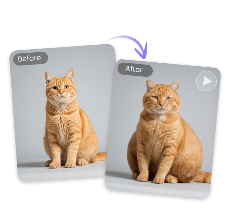 Body Inflation AI: Generate Inflation Body Video Online Free | Clipfly