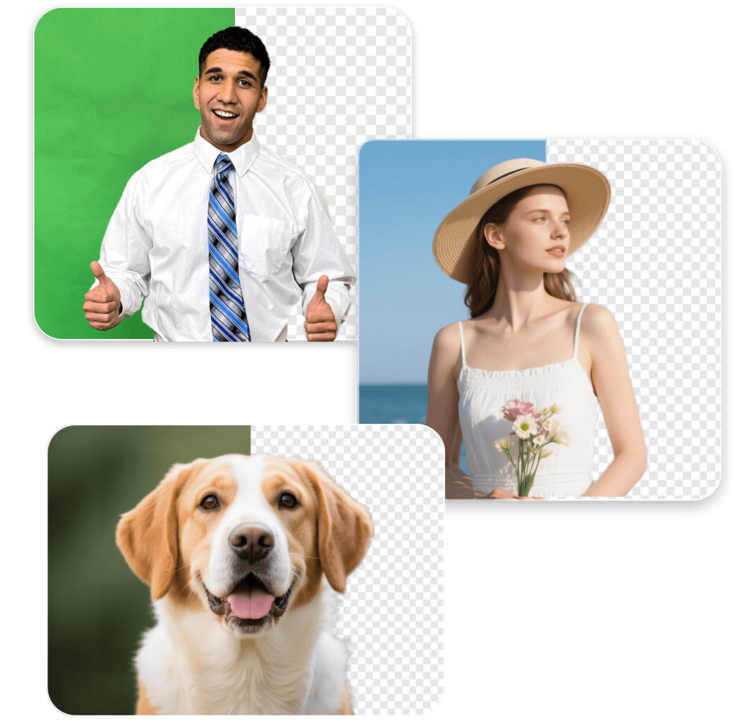 Remove White Background from Image (Free, Fast & Online) | Clipfly