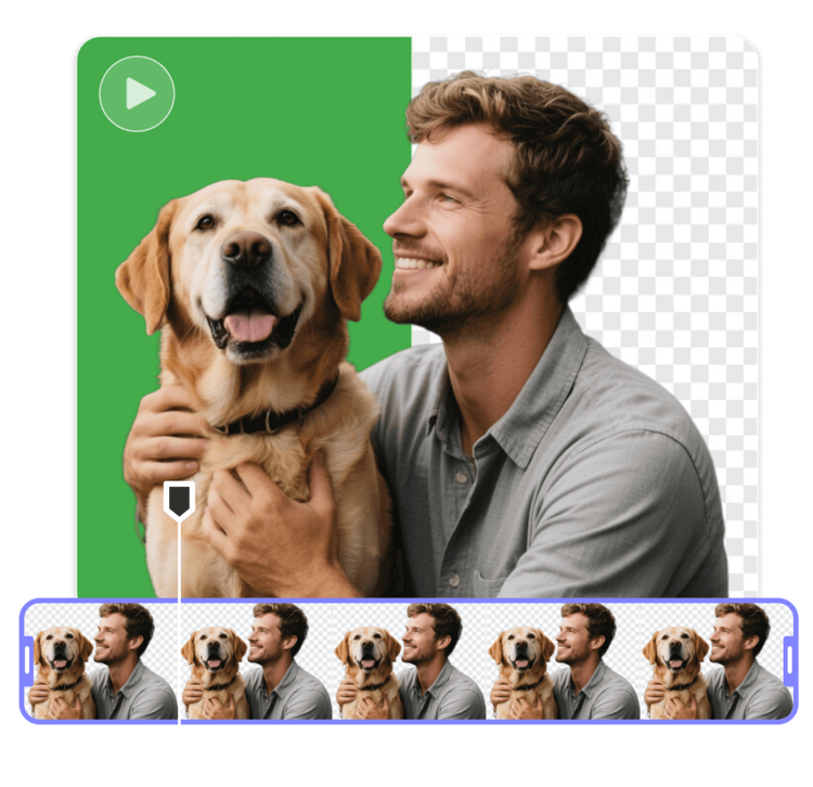 AI Green Screen Remover Online for Free | Clipfly