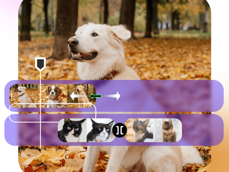 Free Video Splitter Online: Split Video into Parts Easily | Clipfly