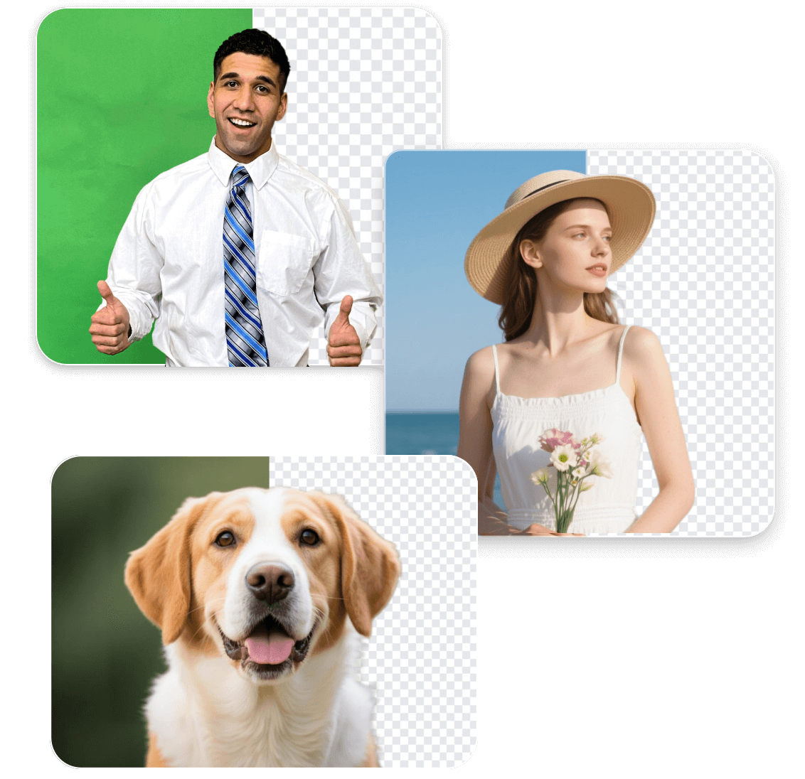 Remove White Background from Image (Free, Fast & Online) | Clipfly